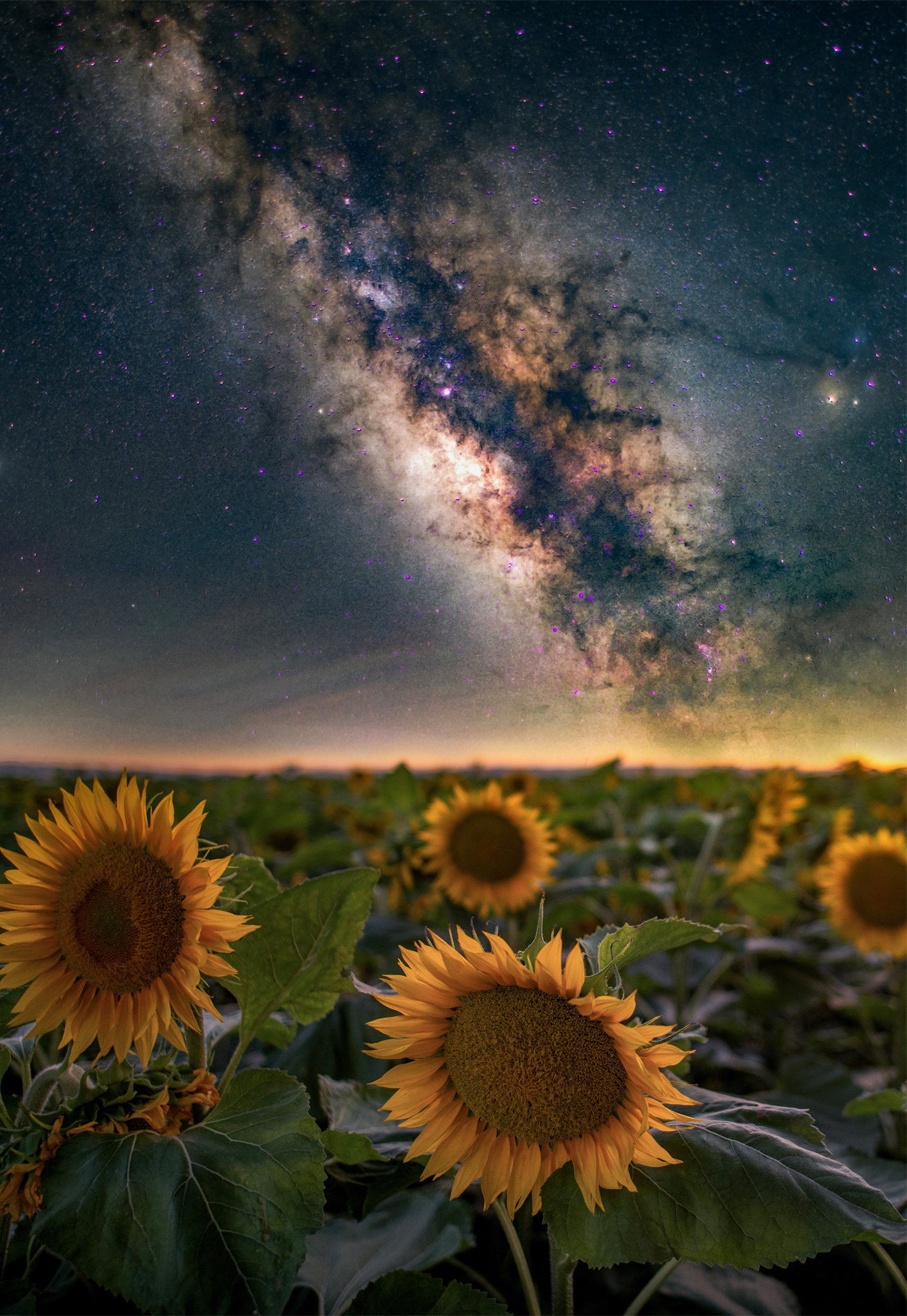 Merit Awards - College - Kingsley Art Club & Education Foundation